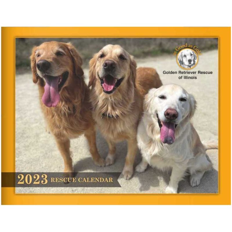 2023 Rescue Calendar - As Good As Gold - Golden Retriever Rescue of ...