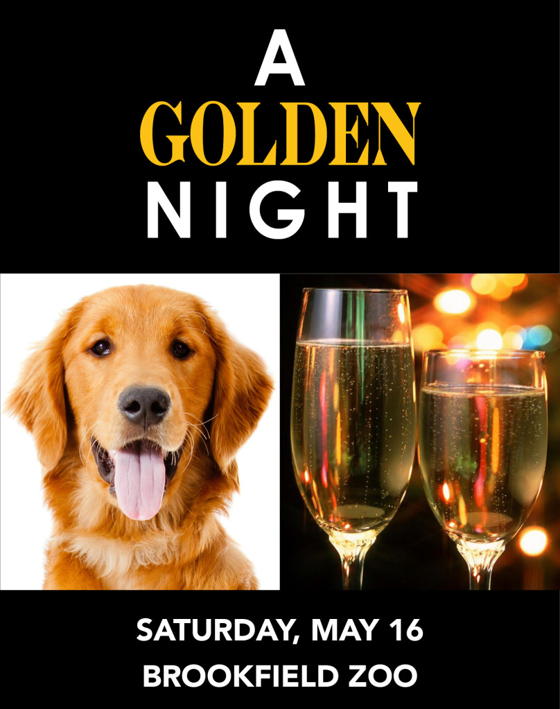 Join Us for A Golden Night! - As Good As Gold - Golden Retriever Rescue ...